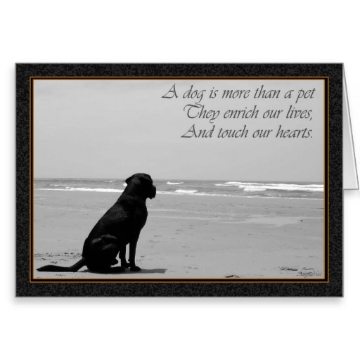 When Your Dog Dies Quotes QuotesGram When Your Dog Dies Quotes QuotesGram