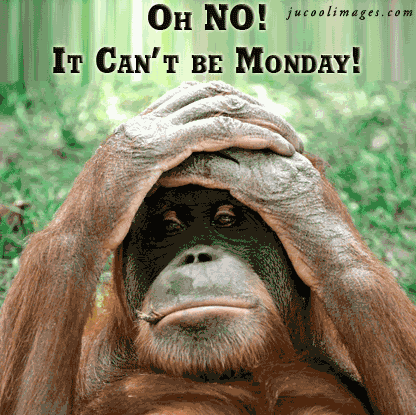 Quotes Funny Monday Morning Work. QuotesGram Quotes Funny Monday Morning Work. QuotesGram