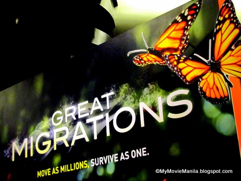 Quotes The Great Migration. QuotesGram