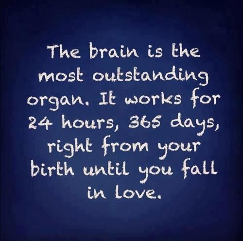 Funny Brain Quotes. QuotesGram