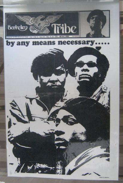 Malcolm X Quotes On Democrats Quotesgram