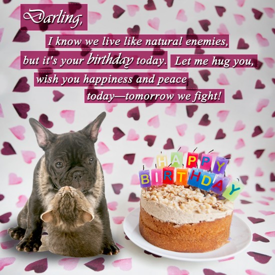 Happy Birthday Husband Funny Quotes QuotesGram