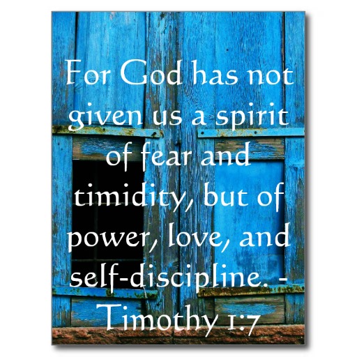 Timothy Bible Quotes 8. QuotesGram