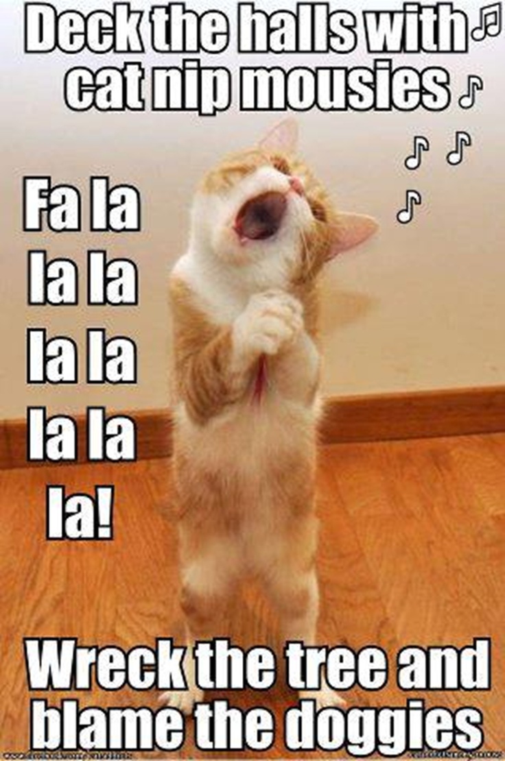 Animals And Quotes Christmas Sayings QuotesGram Animals And Quotes Christmas Sayings QuotesGram