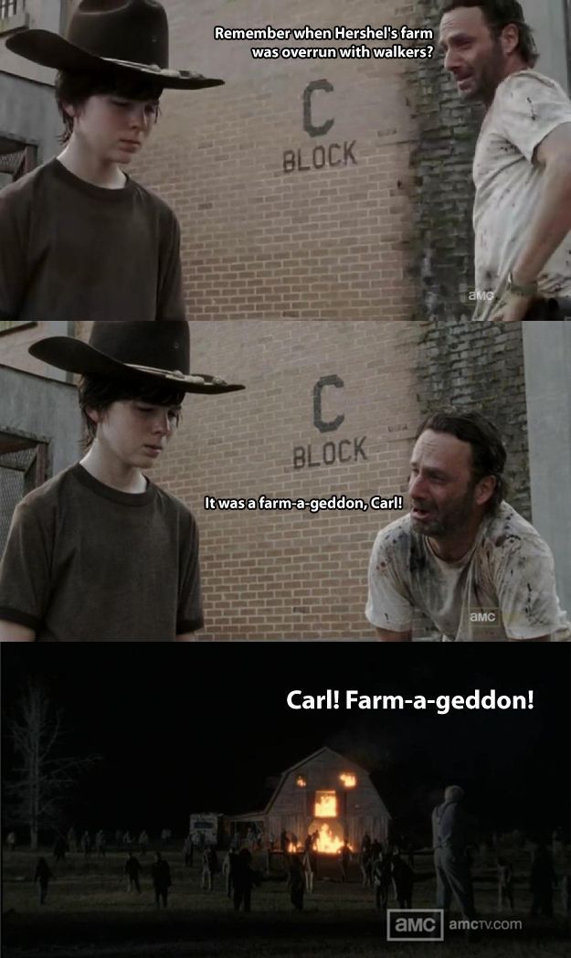 Carl Grimes Funny Quotes. QuotesGram