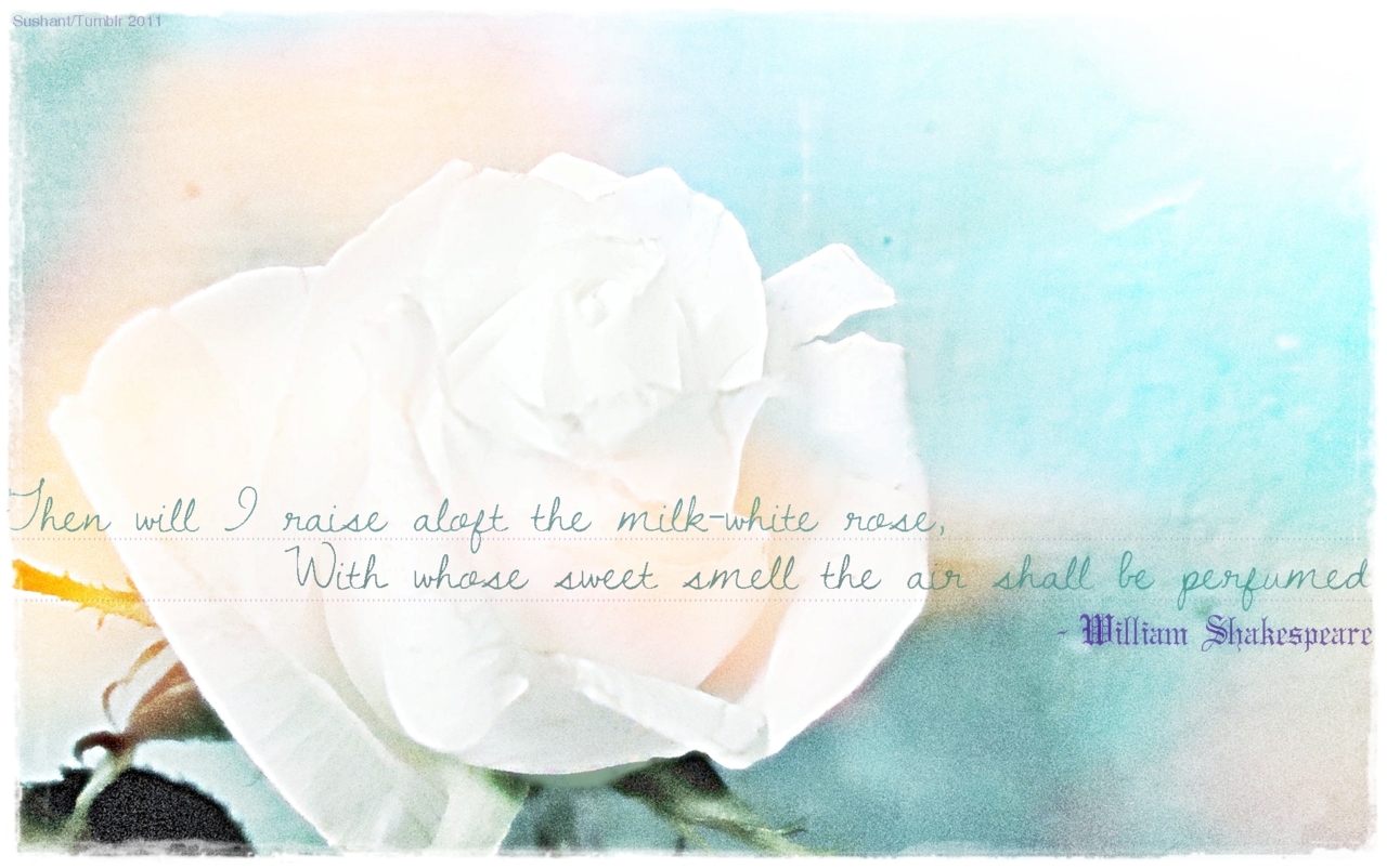 Love White Background Quotes. QuotesGram