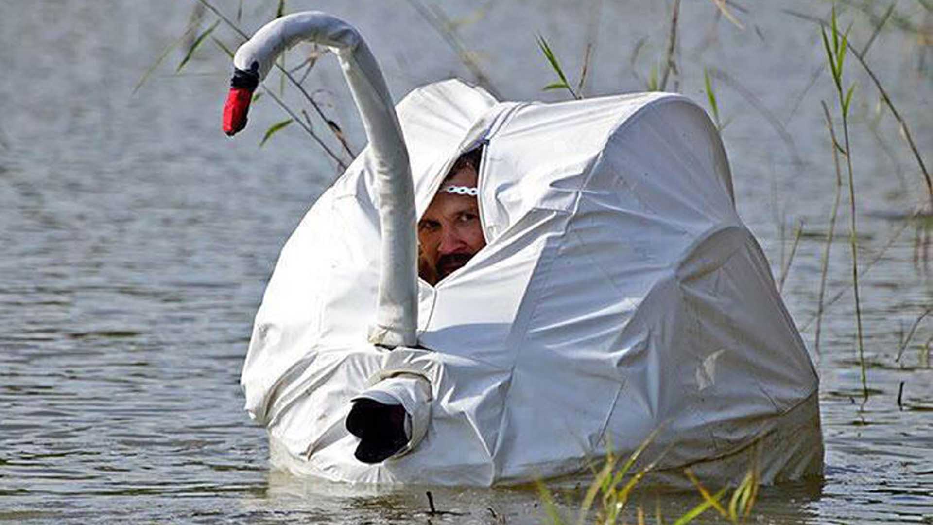 Funny Boss Watching Quotes. QuotesGram