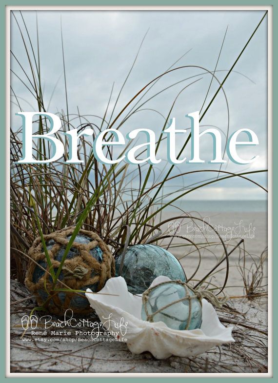 Beach House Quotes QuotesGram Beach House Quotes QuotesGram