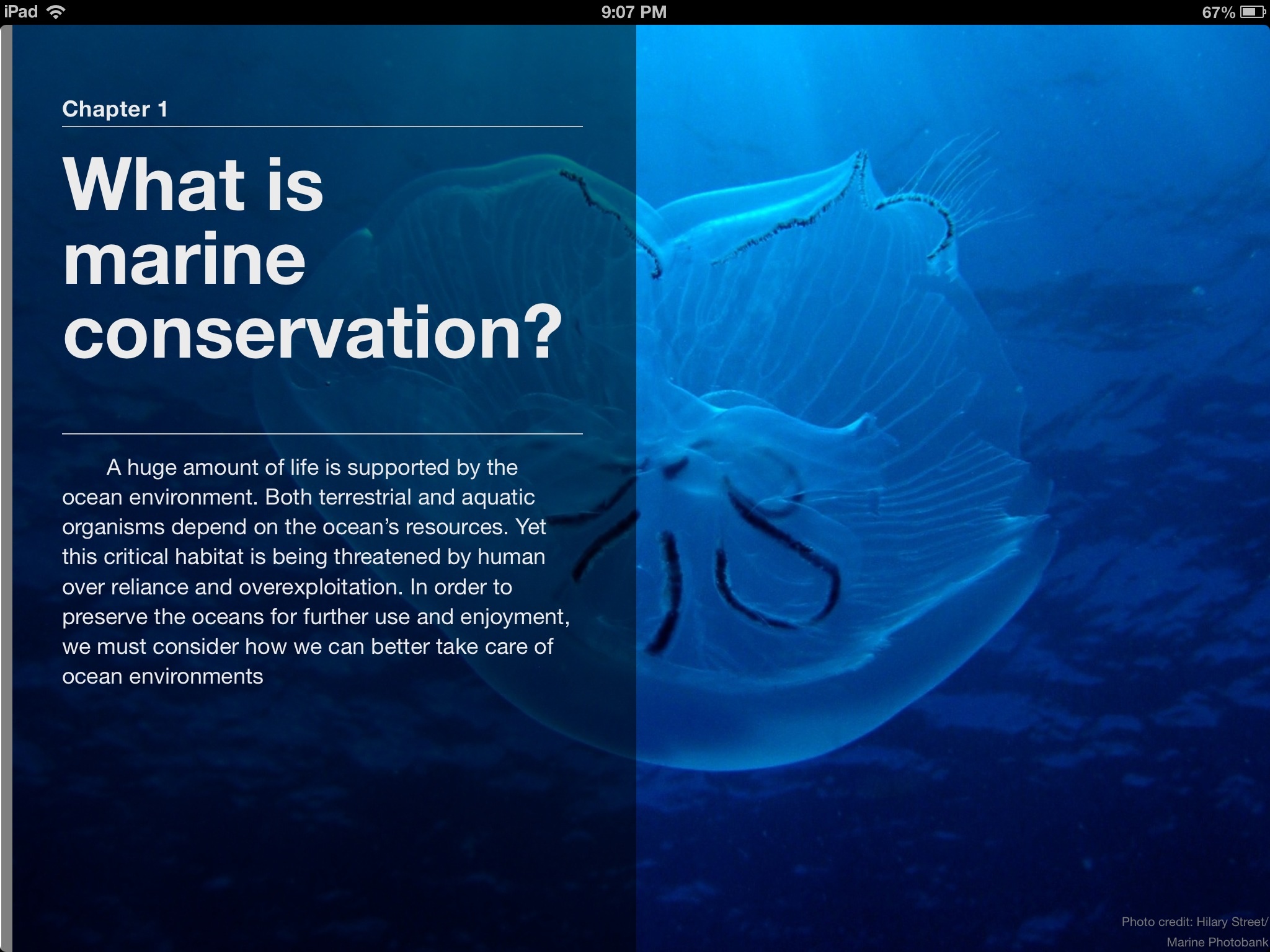 Ocean Conservation Quotes QuotesGram Ocean Conservation Quotes QuotesGram