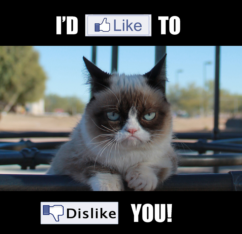 Grumpy Cat Quotes For Facebook. QuotesGram