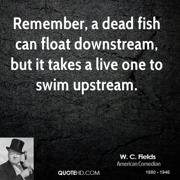 Dead Fish Quotes. QuotesGram Dead Fish Quotes. QuotesGram