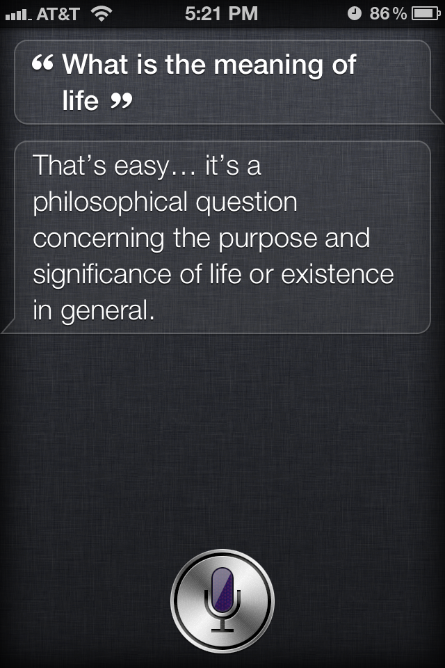 Meaning Of Life Funny Quotes QuotesGram