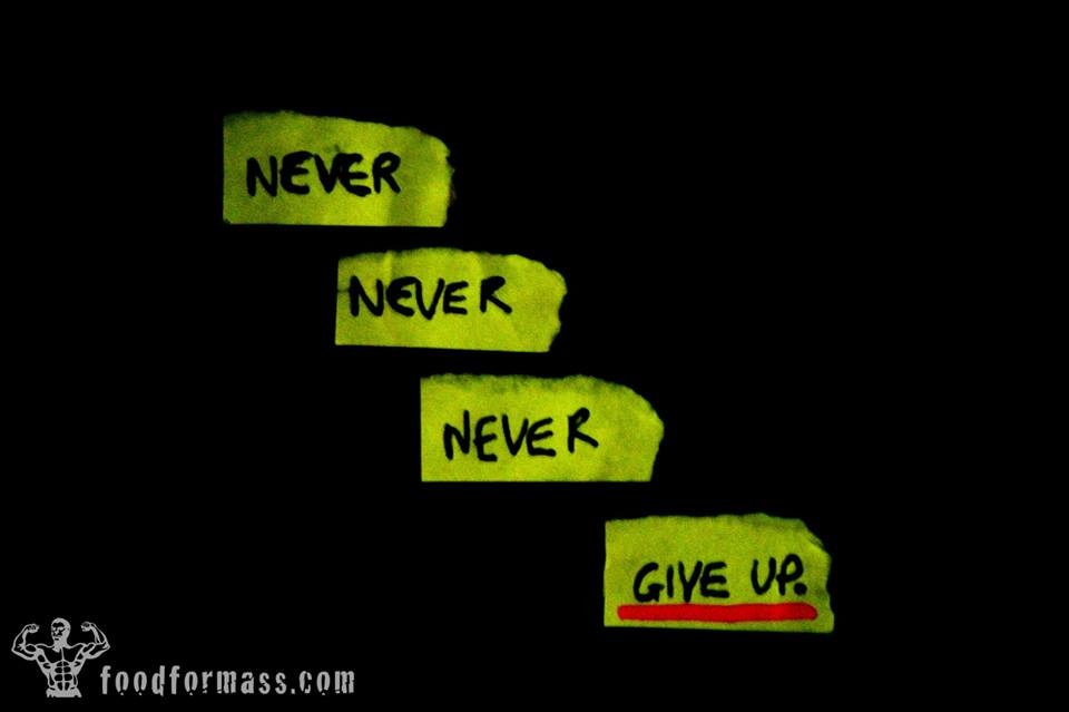 Never Give Up Gym Quotes QuotesGram