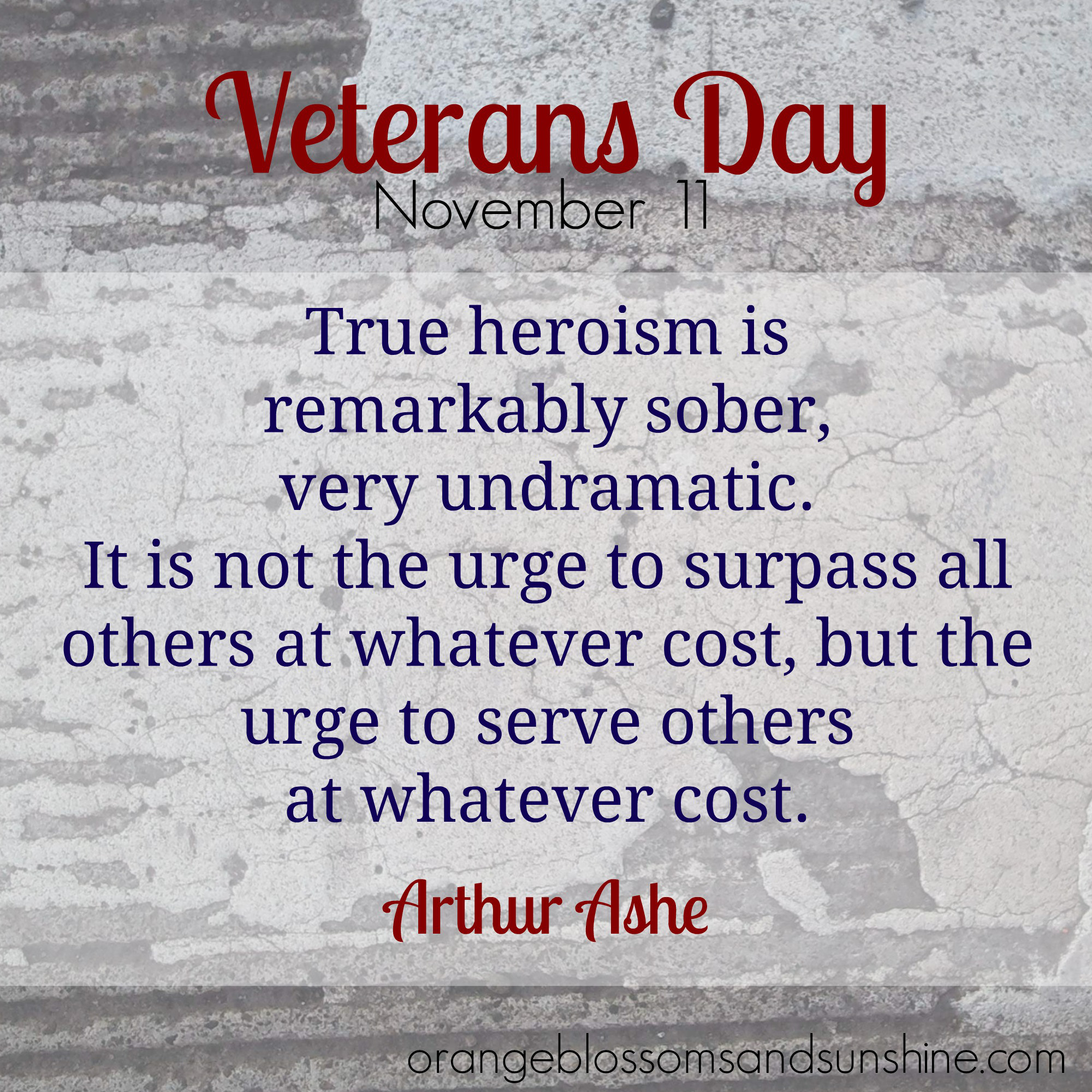 Veteran Day Quotes And Thoughts QuotesGram