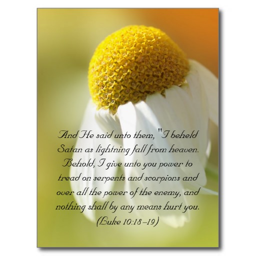 Daisy Bible Quotes. QuotesGram