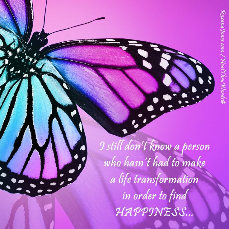 Butterfly Transformation Quotes QuotesGram