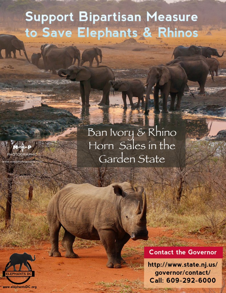 Quotes About Animal Extinction QuotesGram Quotes About Animal Extinction QuotesGram