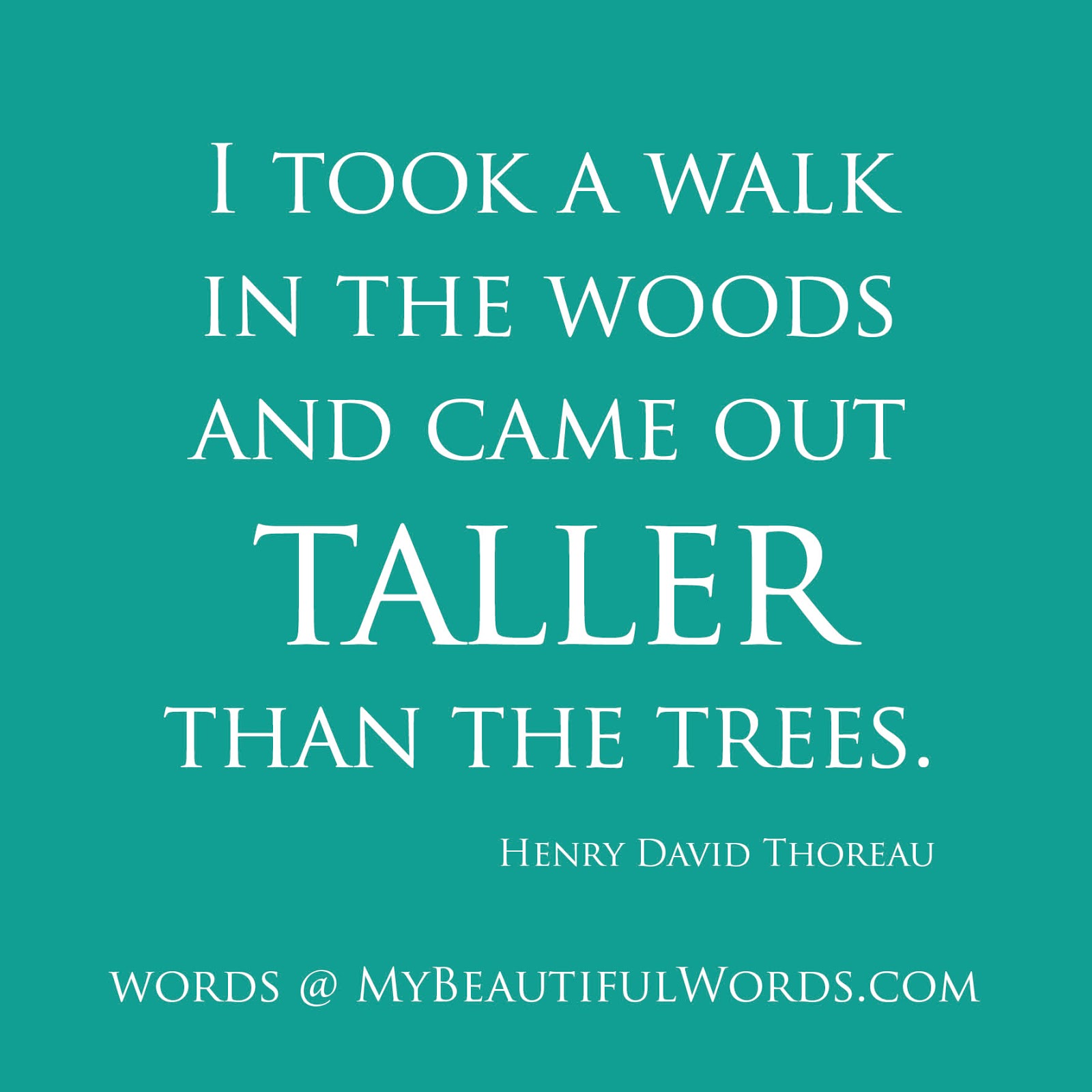 Walking Tall Quotes QuotesGram
