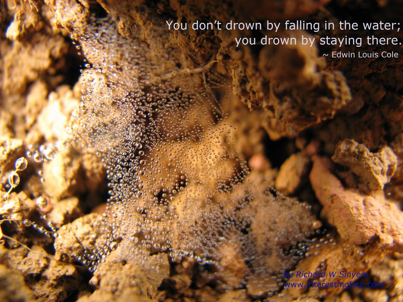 Quotes About Floating In Water QuotesGram Quotes About Floating In Water QuotesGram