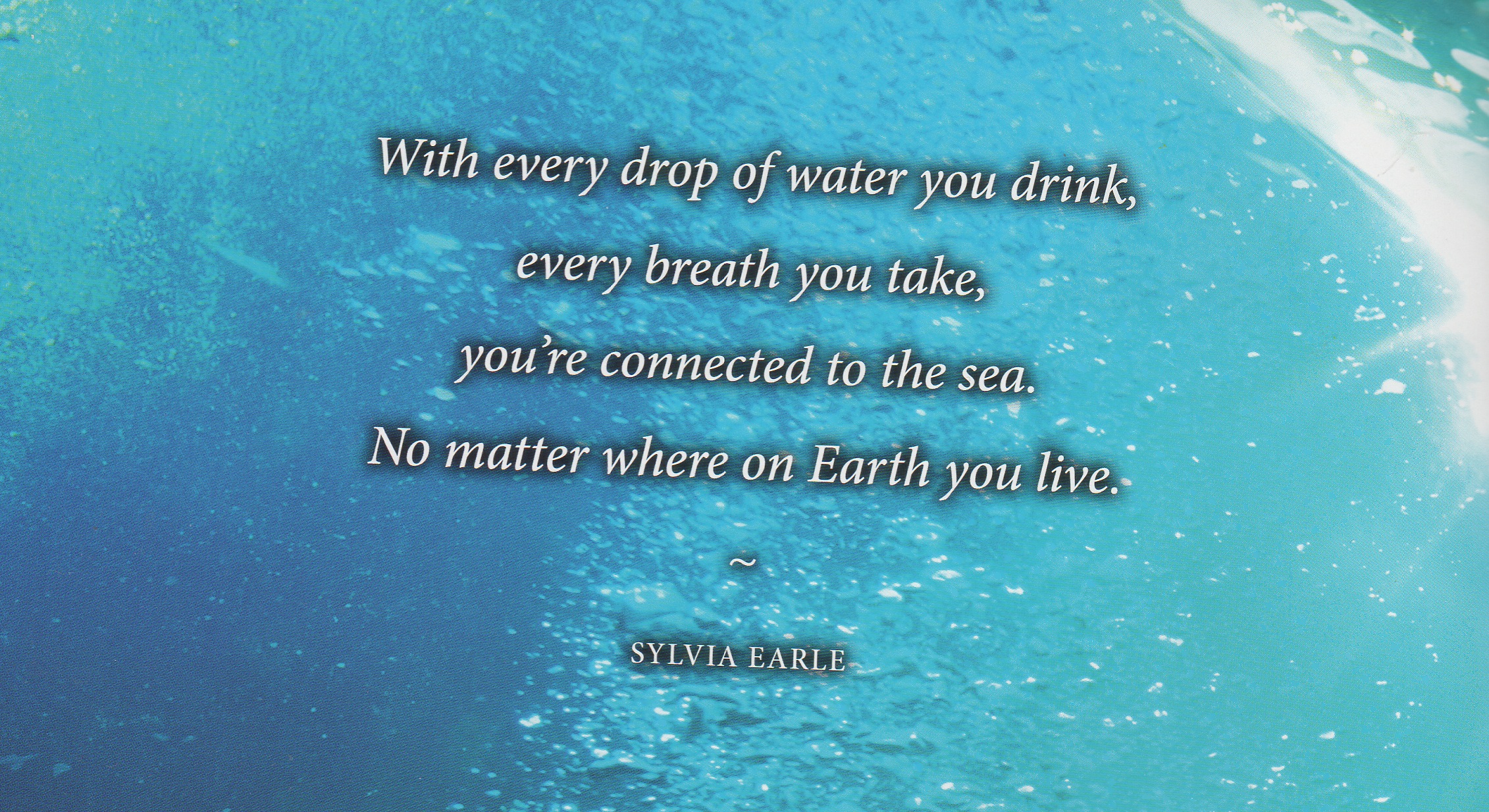 Quotes By Marine Biologists QuotesGram