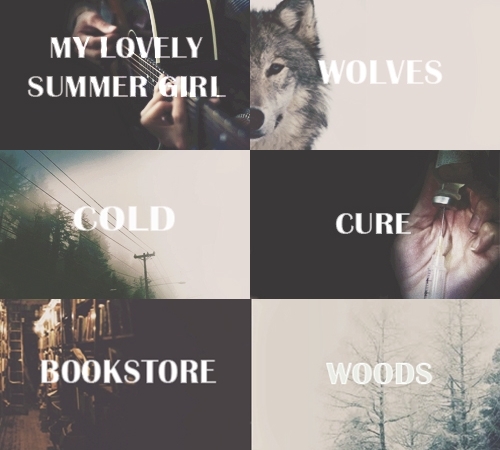 The Wolves Of Mercy Falls Quotes. QuotesGram