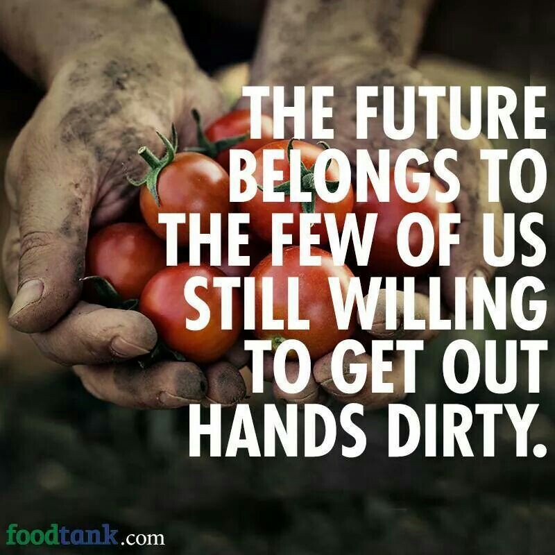 Dirty Hands Quotes QuotesGram