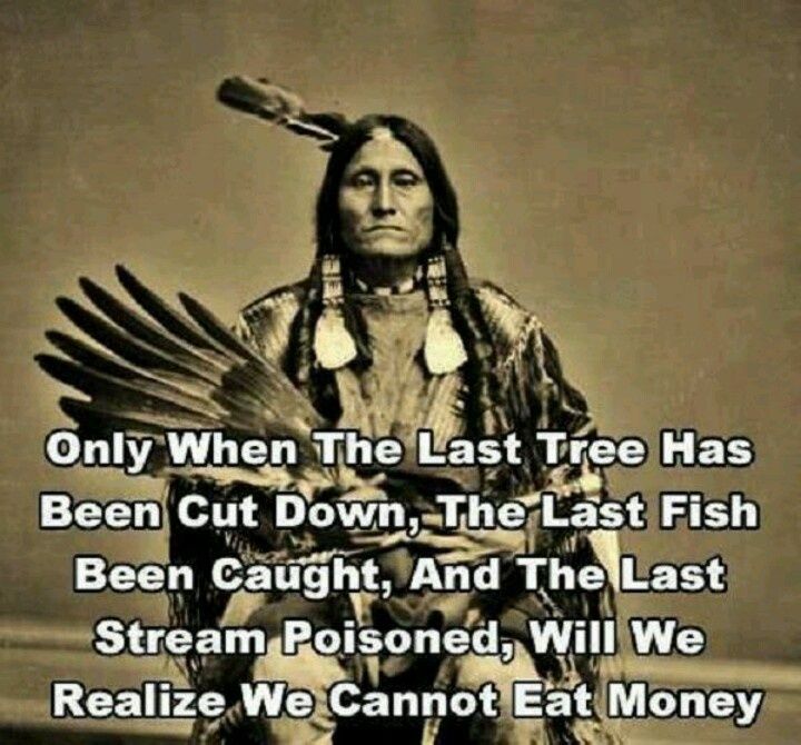 Native American Quotes About Trees Quotesgram
