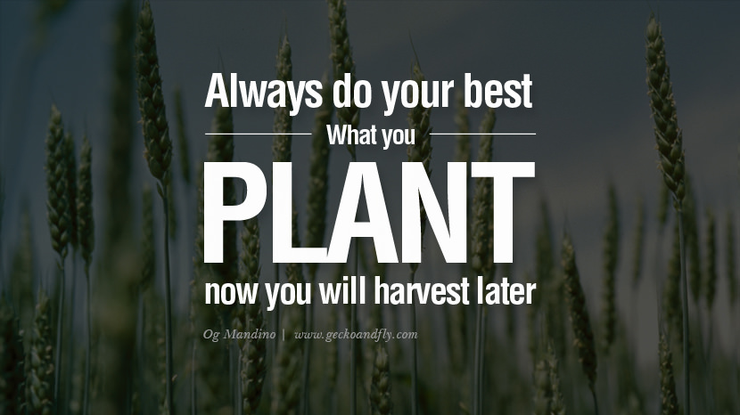 Inspirational Sports Quotes Posters. QuotesGram