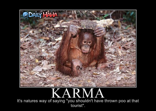 Funny Karma Quotes. QuotesGram