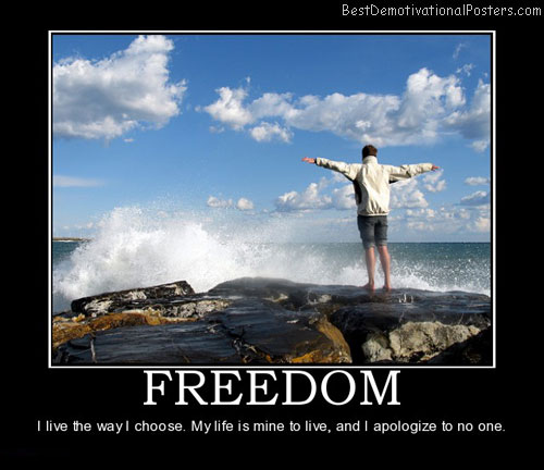 Freedom To Choose Quotes. QuotesGram