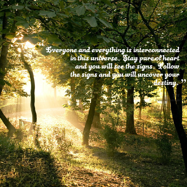 Interconnected Quotes. QuotesGram