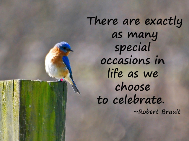 Celebrate Each Day Quotes. QuotesGram