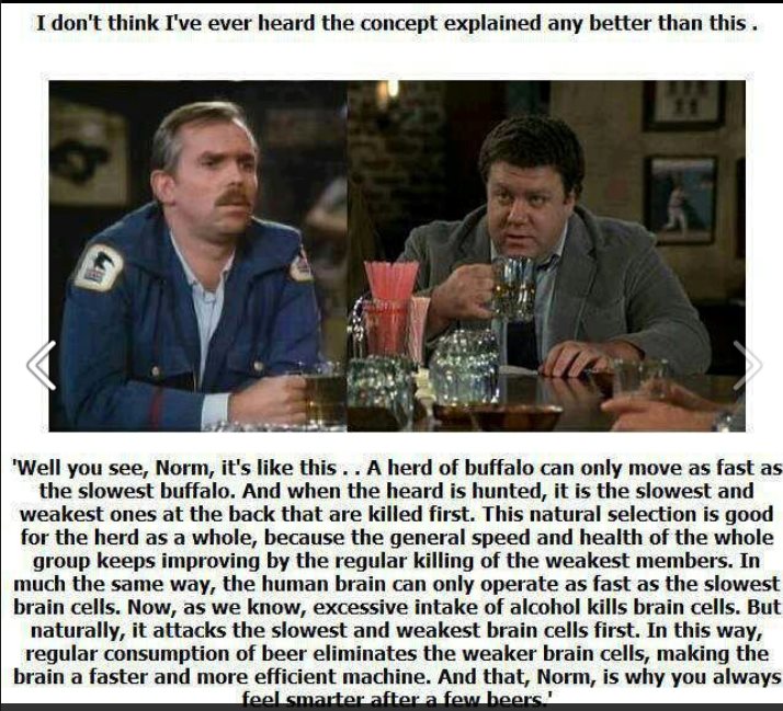 Cliff Clavin Beer Quotes. QuotesGram