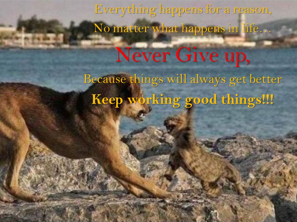 Life Keeps Getting Better Quotes. QuotesGram Life Keeps Getting Better Quotes. QuotesGram