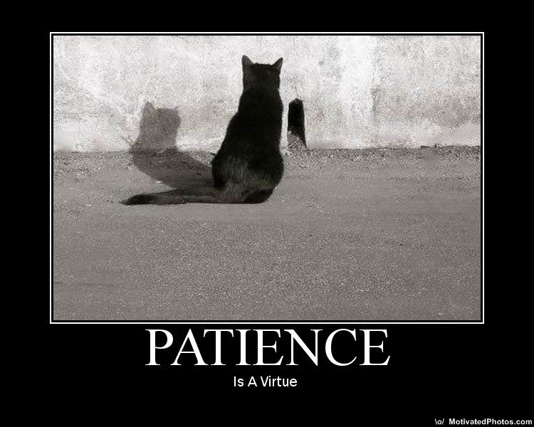 No Patience Quotes QuotesGram
