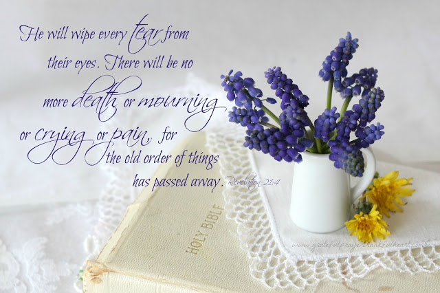 Quotes About Hyacinths. QuotesGram