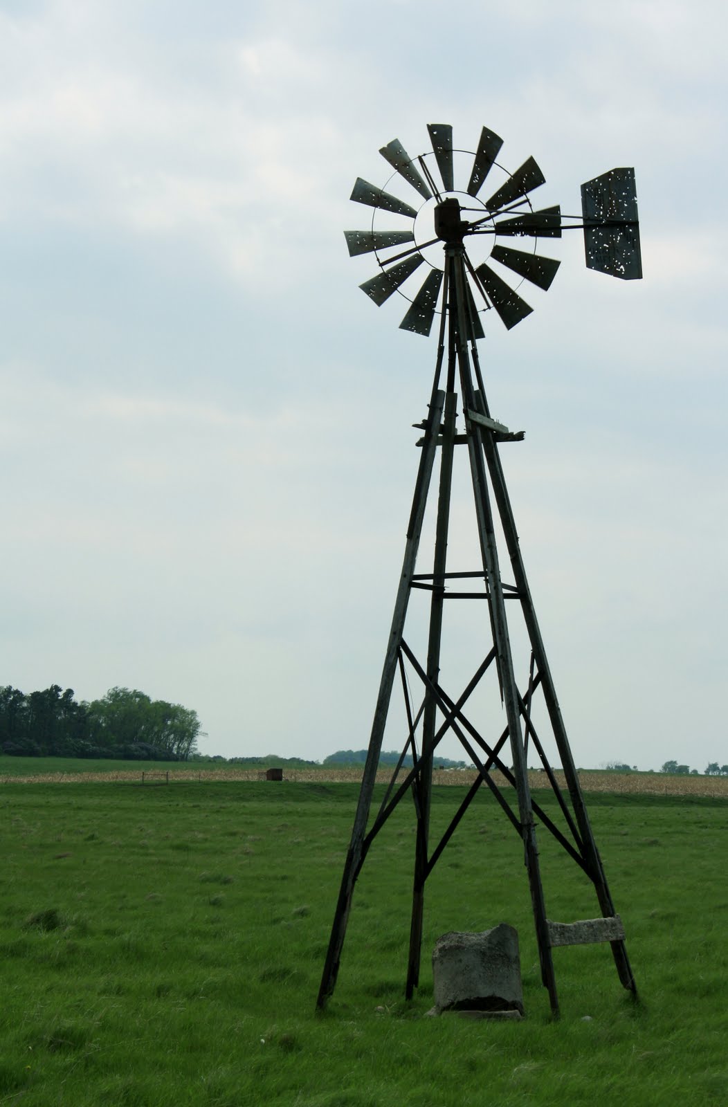Famous Quotes About Windmills QuotesGram Famous Quotes About Windmills QuotesGram
