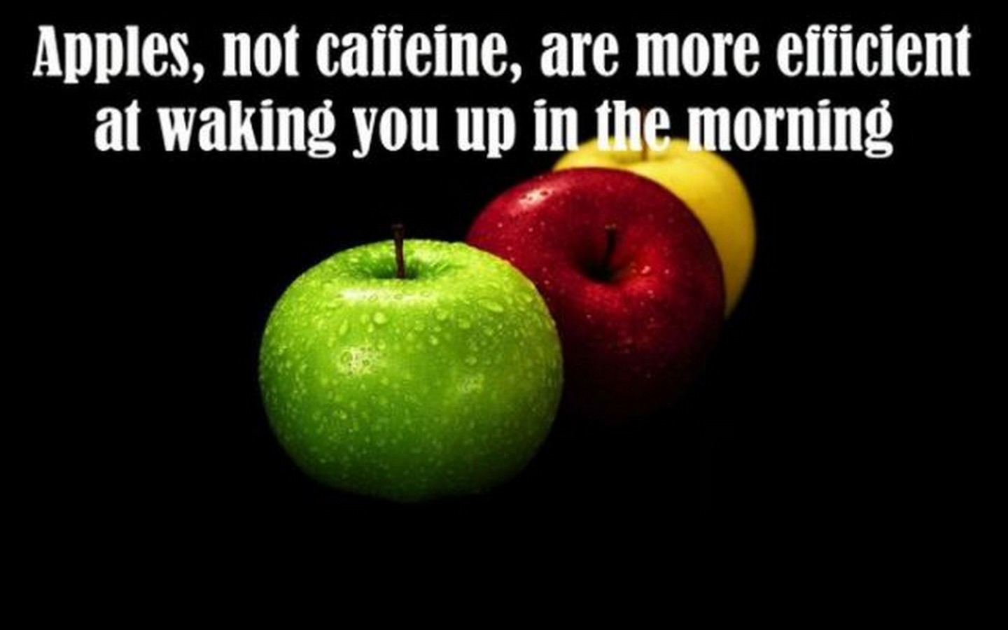 Funny Trivia Quotes QuotesGram funny-trivia-quotes-quotesgram