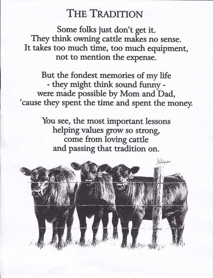 Cattle Quotes And Sayings QuotesGram cattle-quotes-and-sayings-quotesgram