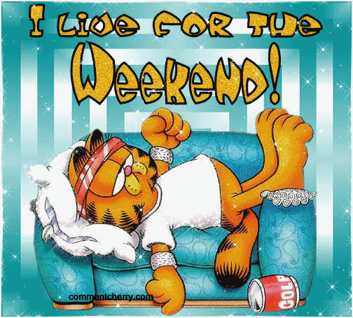 Garfield Saturday Quotes. QuotesGram