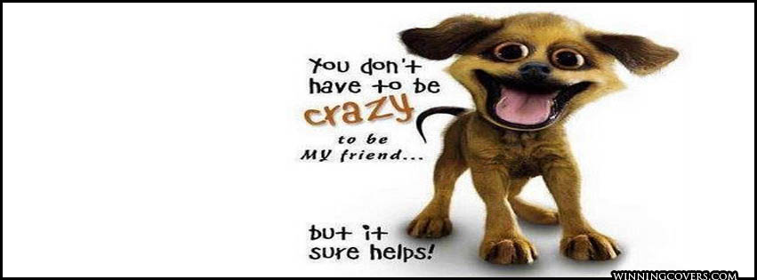 Crazy Cartoon Quotes. QuotesGram