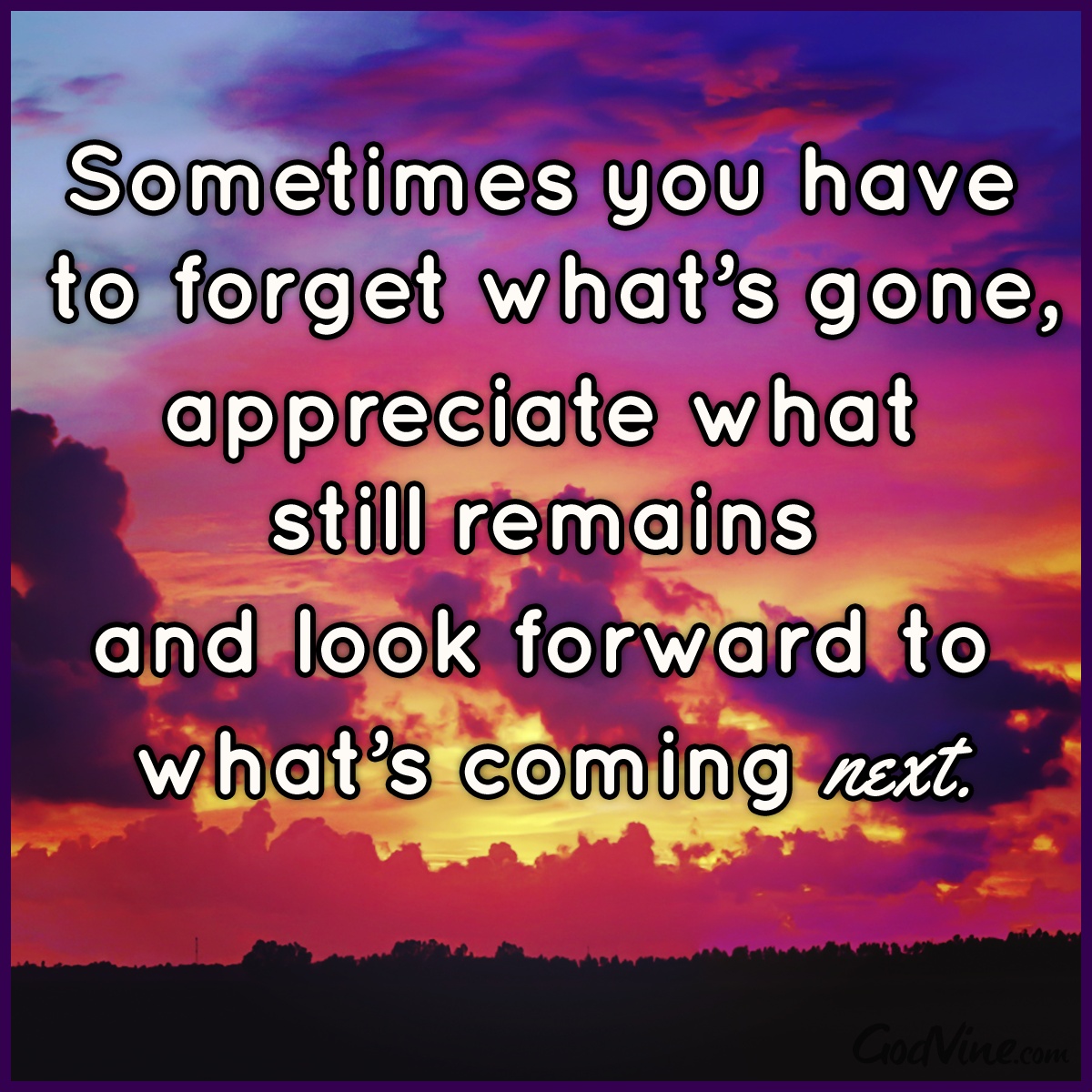 Florida Quotes And Sayings QuotesGram florida-quotes-and-sayings-quotesgram