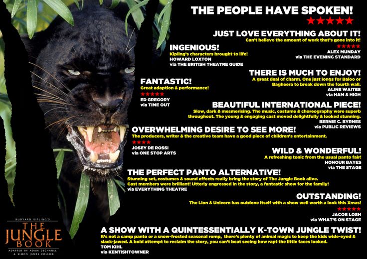 Quotes From The Jungle Book. QuotesGram