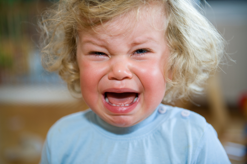Adult Tantrum Quotes QuotesGram adult-tantrum-quotes-quotesgram