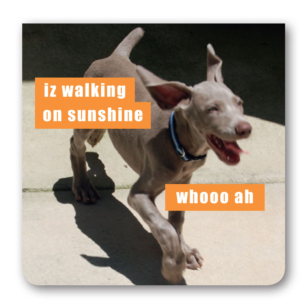 Walking On Sunshine Quotes QuotesGram Walking On Sunshine Quotes QuotesGram