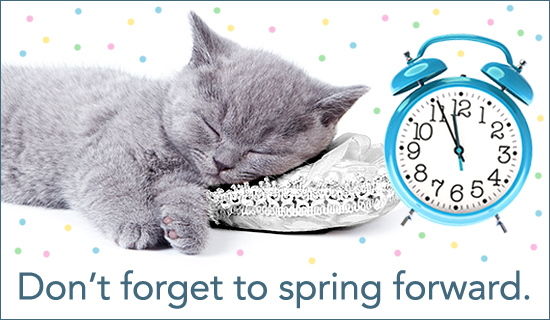 Spring Forward Funny Quotes. QuotesGram Spring Forward Funny Quotes. QuotesGram