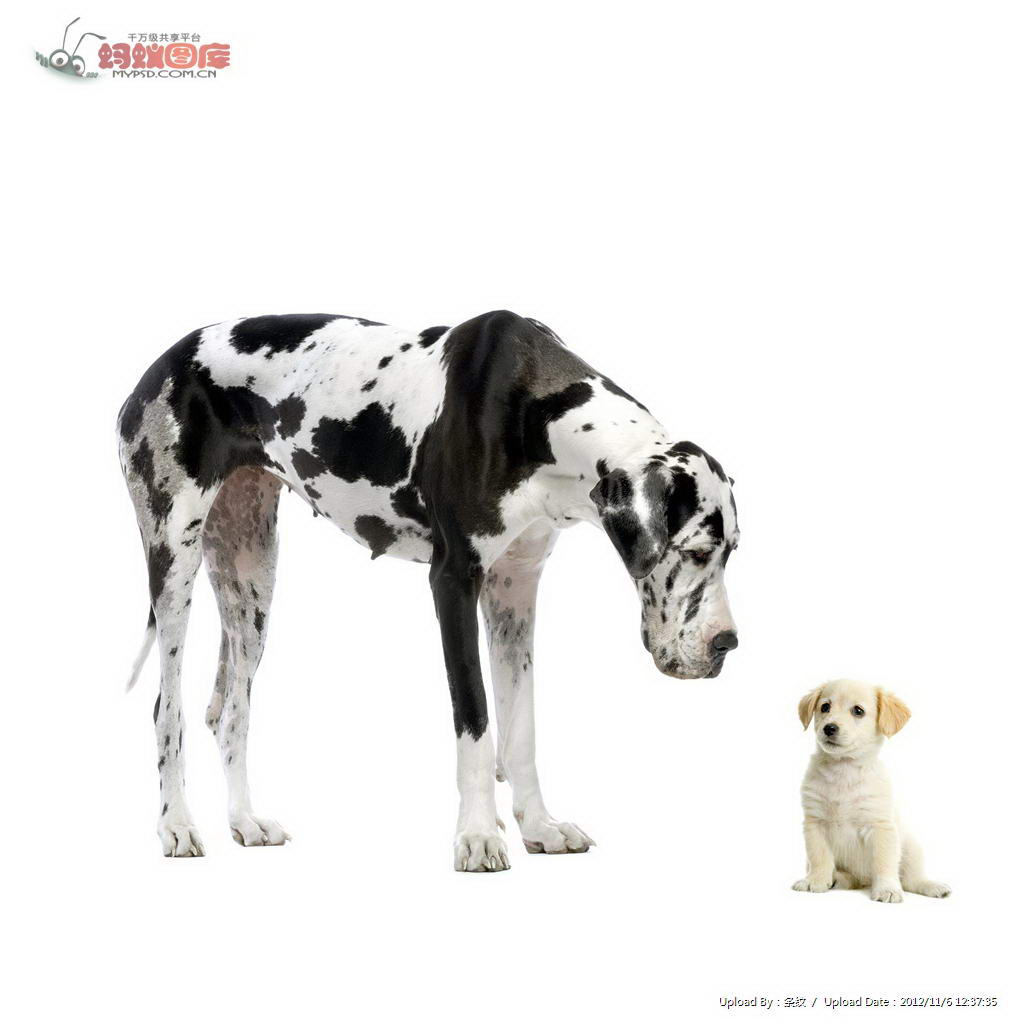 Topdog Underdog Quotes QuotesGram