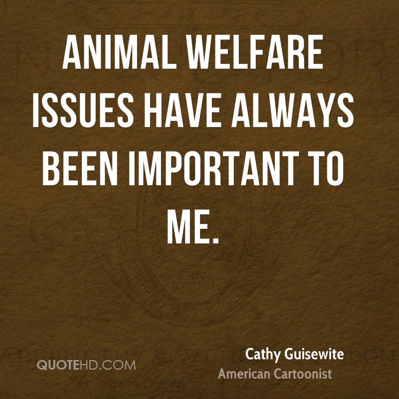 Quotes About Animal Welfare QuotesGram