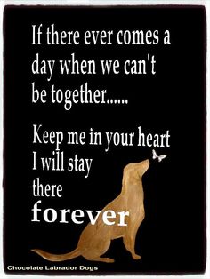 German Friendship Quotes. QuotesGram