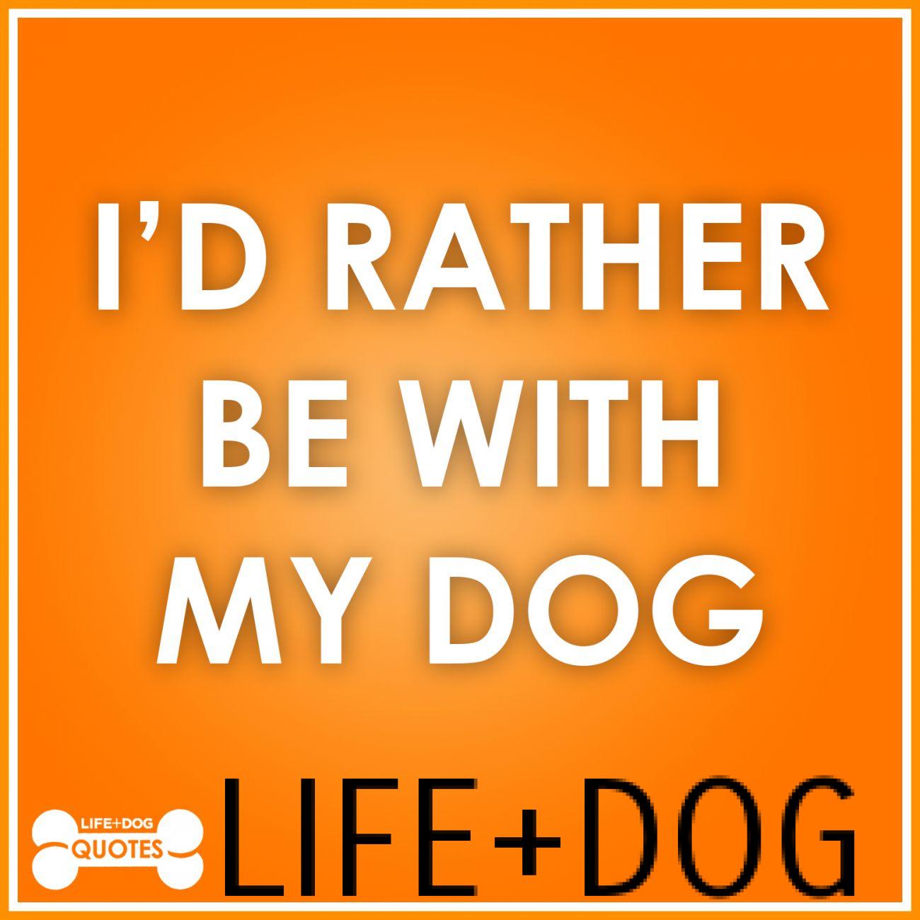 Quotes About Life And Dogs QuotesGram quotes-about-life-and-dogs-quotesgram